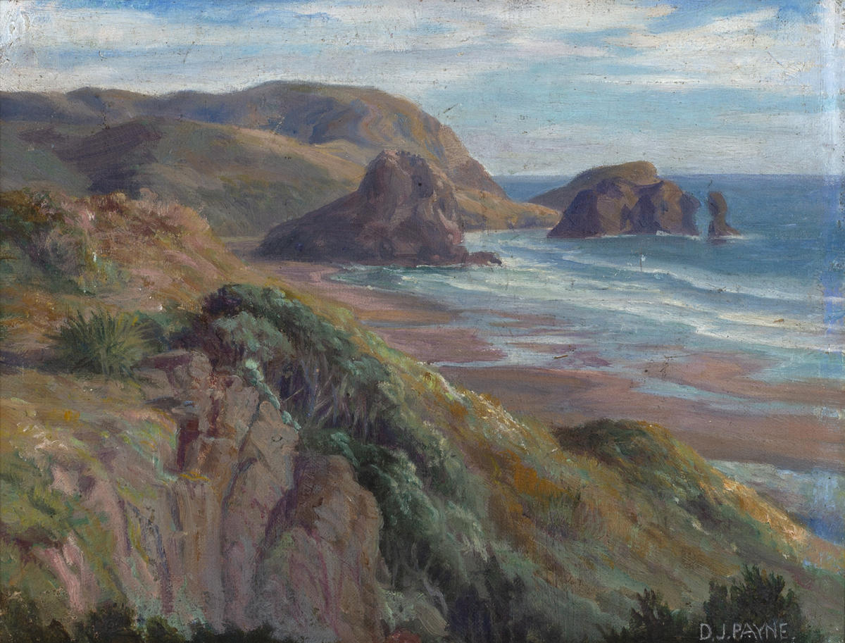 Piha Bay, West Coast - Te Whare o Rehua Sarjeant Gallery